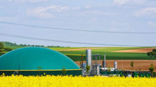 Biogas and Distributed Generation: the sustainable energy revolution in ...