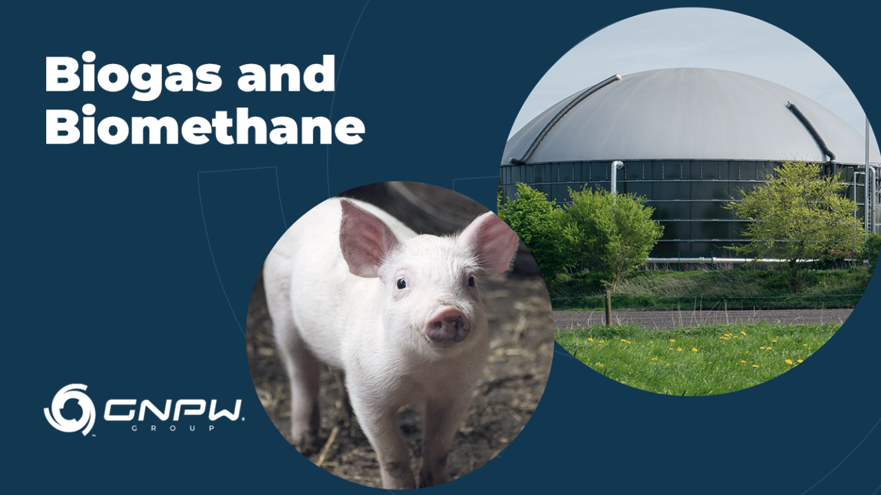 The growth of GD in the Biogas and Biomethane sector - GNPW Group